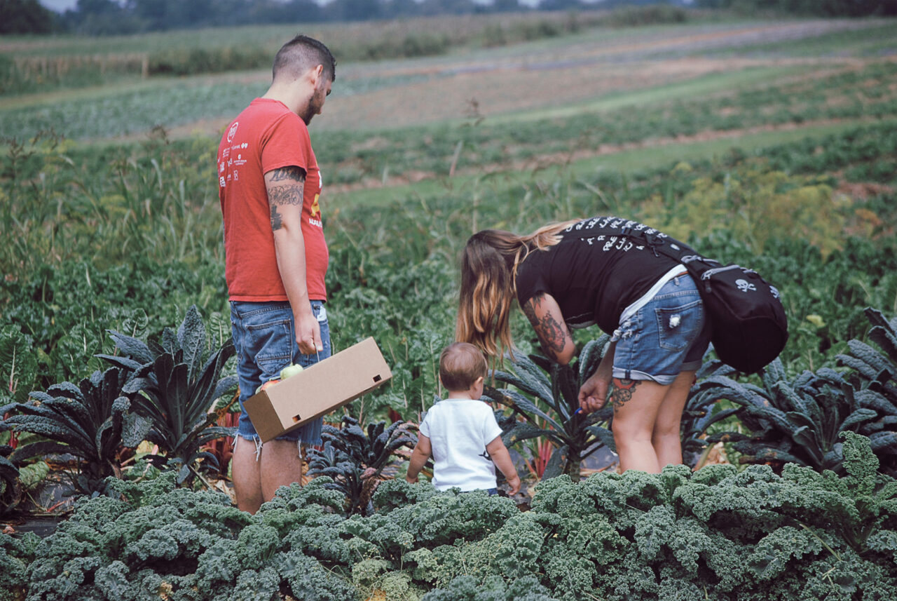 Pick Your Own | Janoskis Farm & Greenhouse